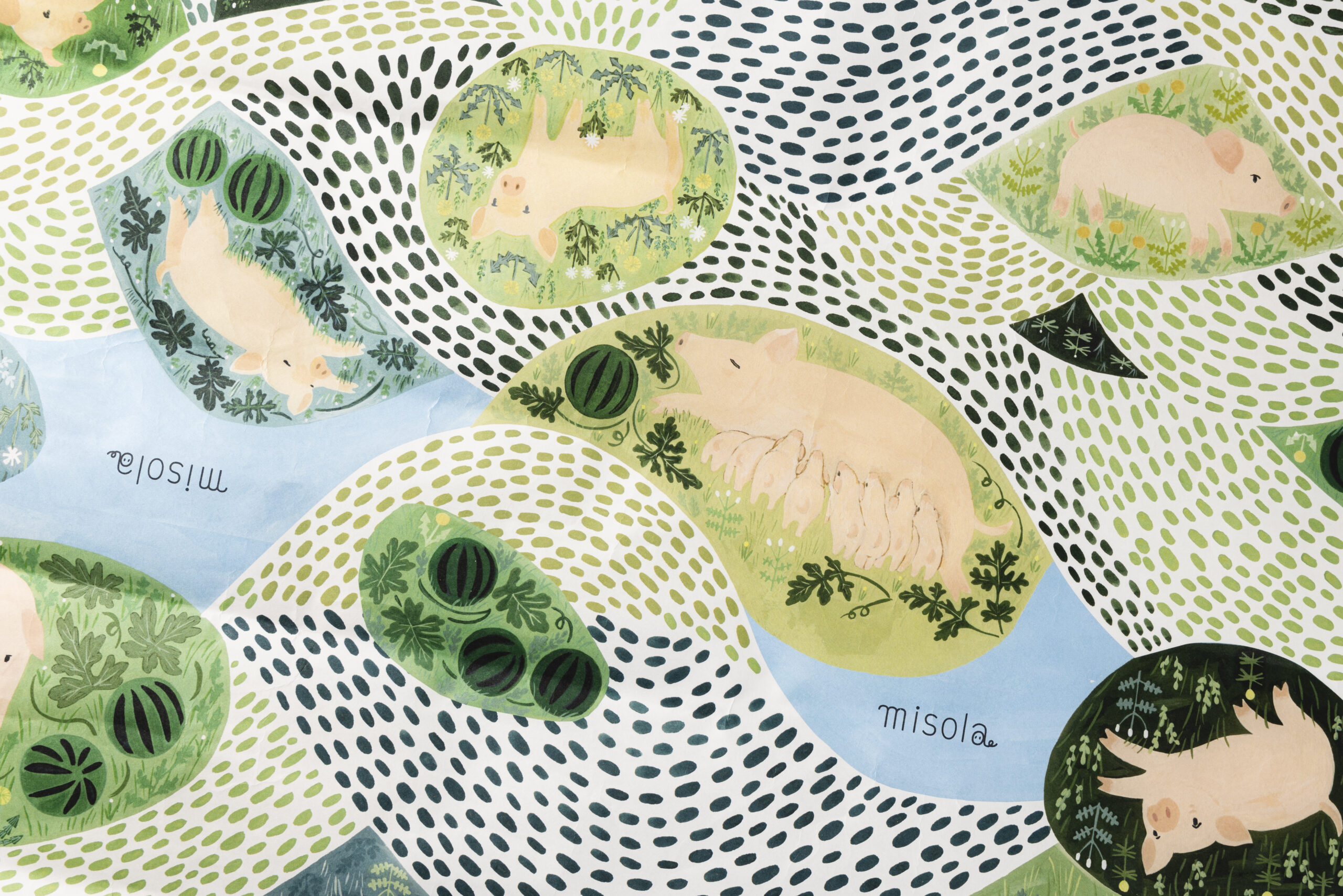 MISOLAセット - ファームブリッジ